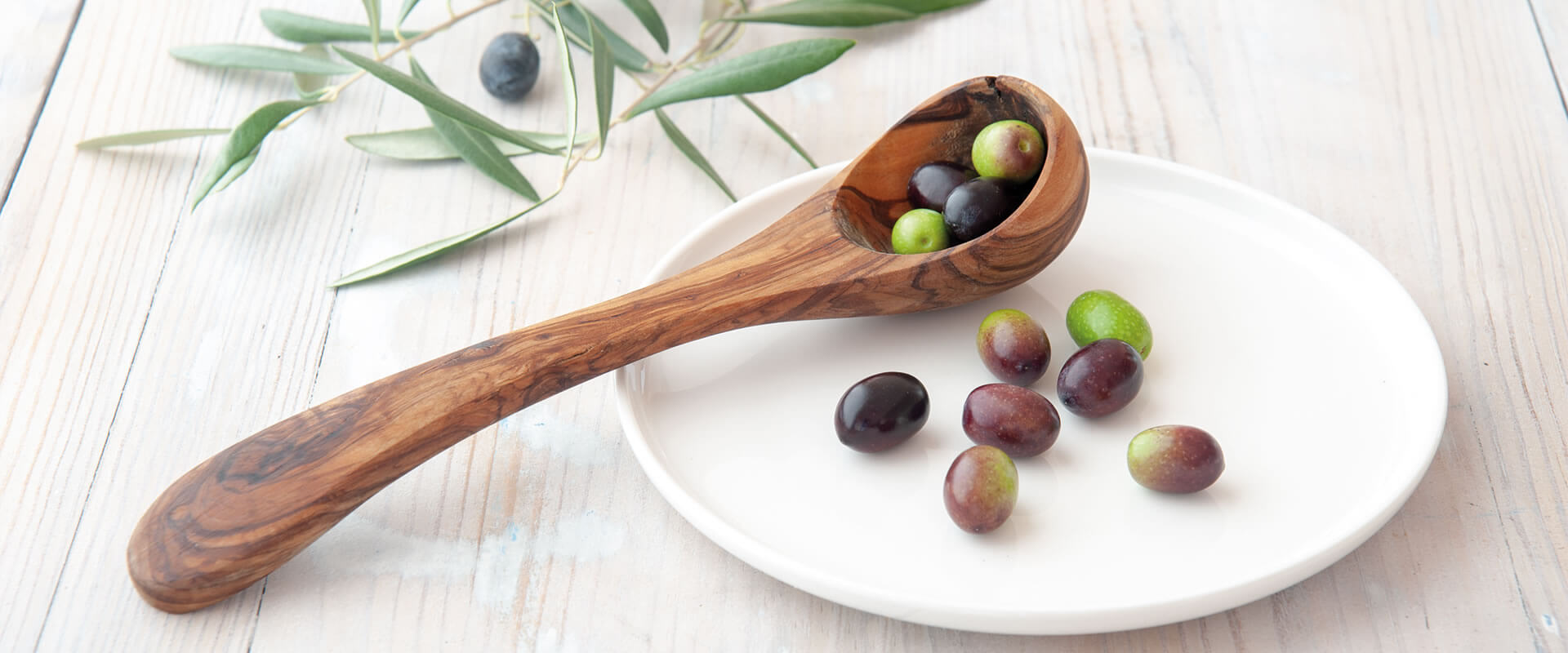 Olive Taggiasche: impara a conoscerle - Fratelli Carli