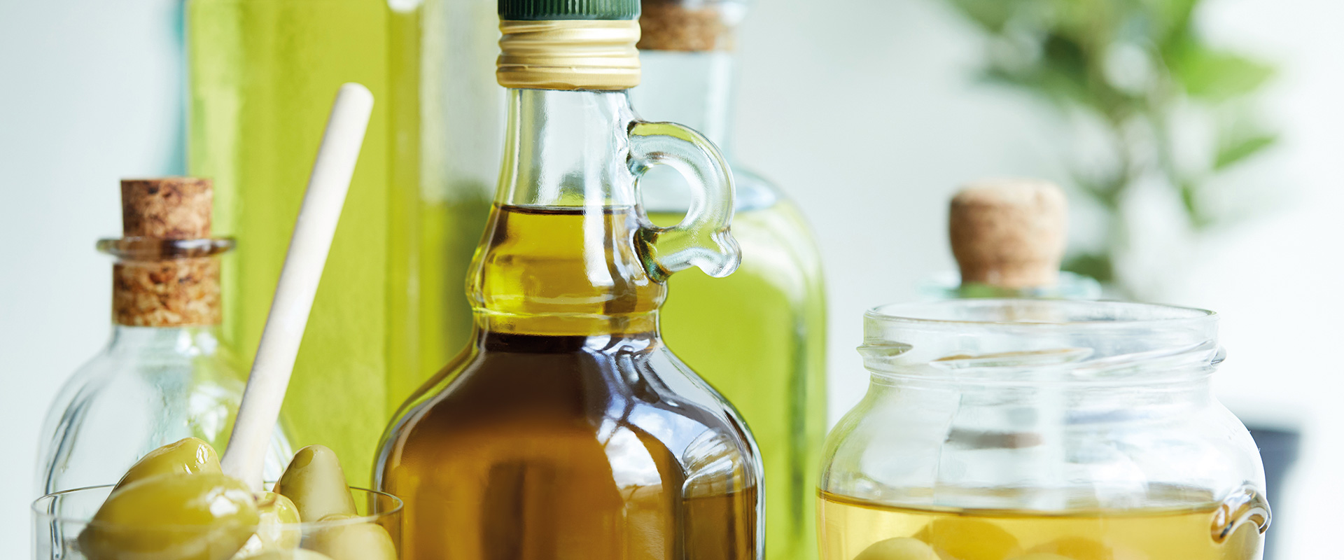 Olio Extra Vergine di Oliva: 5 Segreti - Fratelli Carli