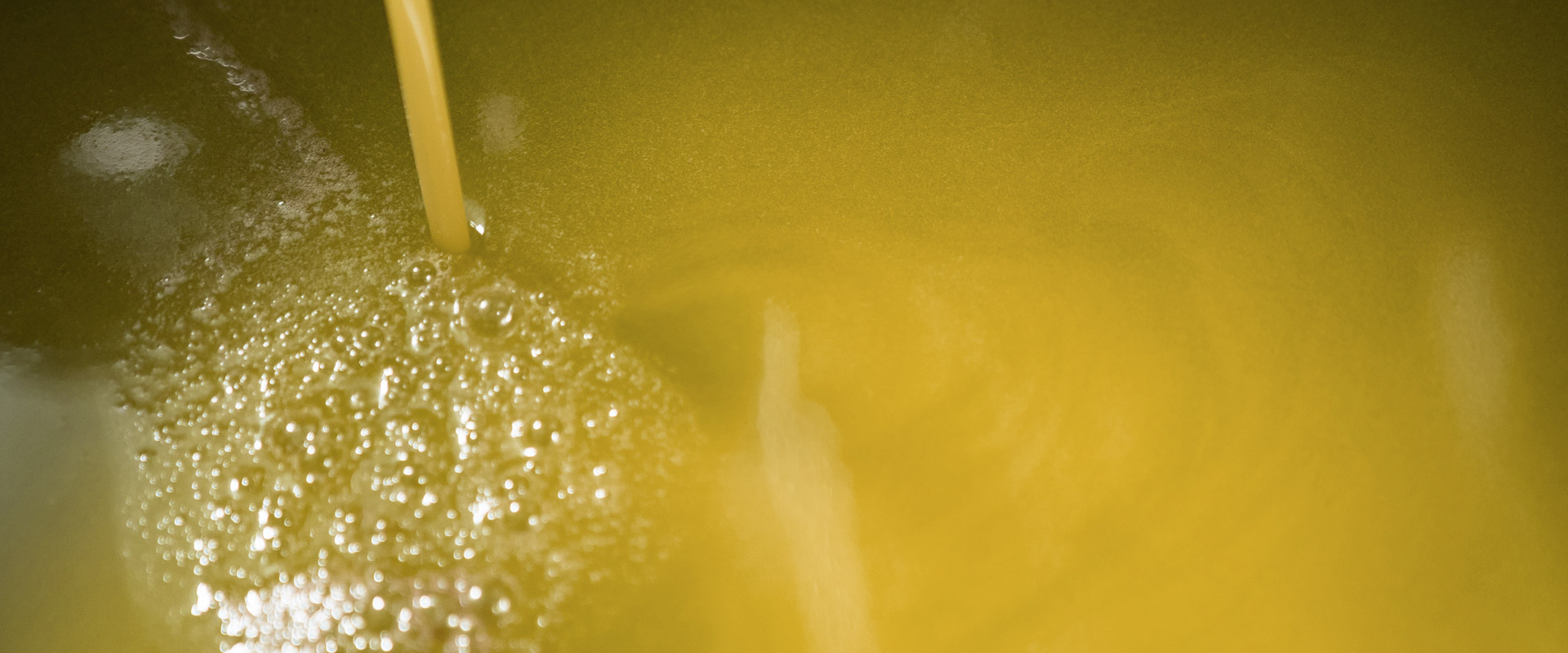 Definizione di morchia - Fratelli Carli